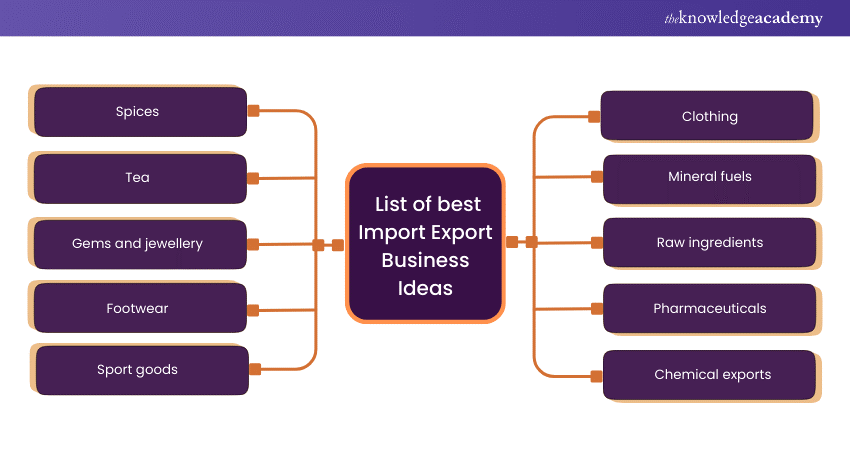 Top 20 Import Export Business Ideas to Start Now